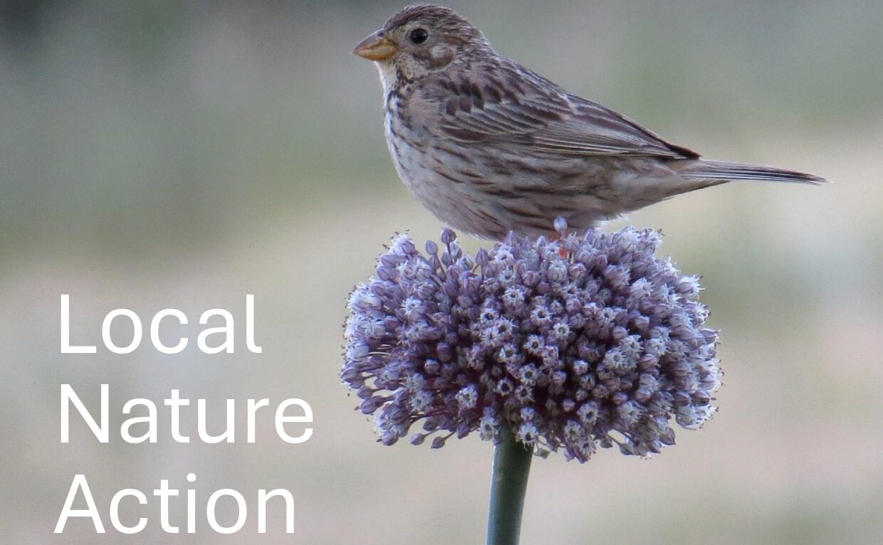Warwickshire’s First Local Nature Action Plan Workshop - WALC - Town ...