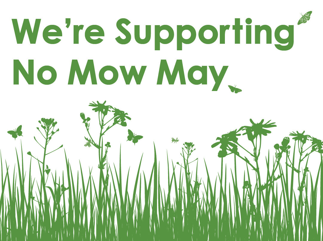 No Mow May in South Warwickshire - WALC - Town and Parish Council Support