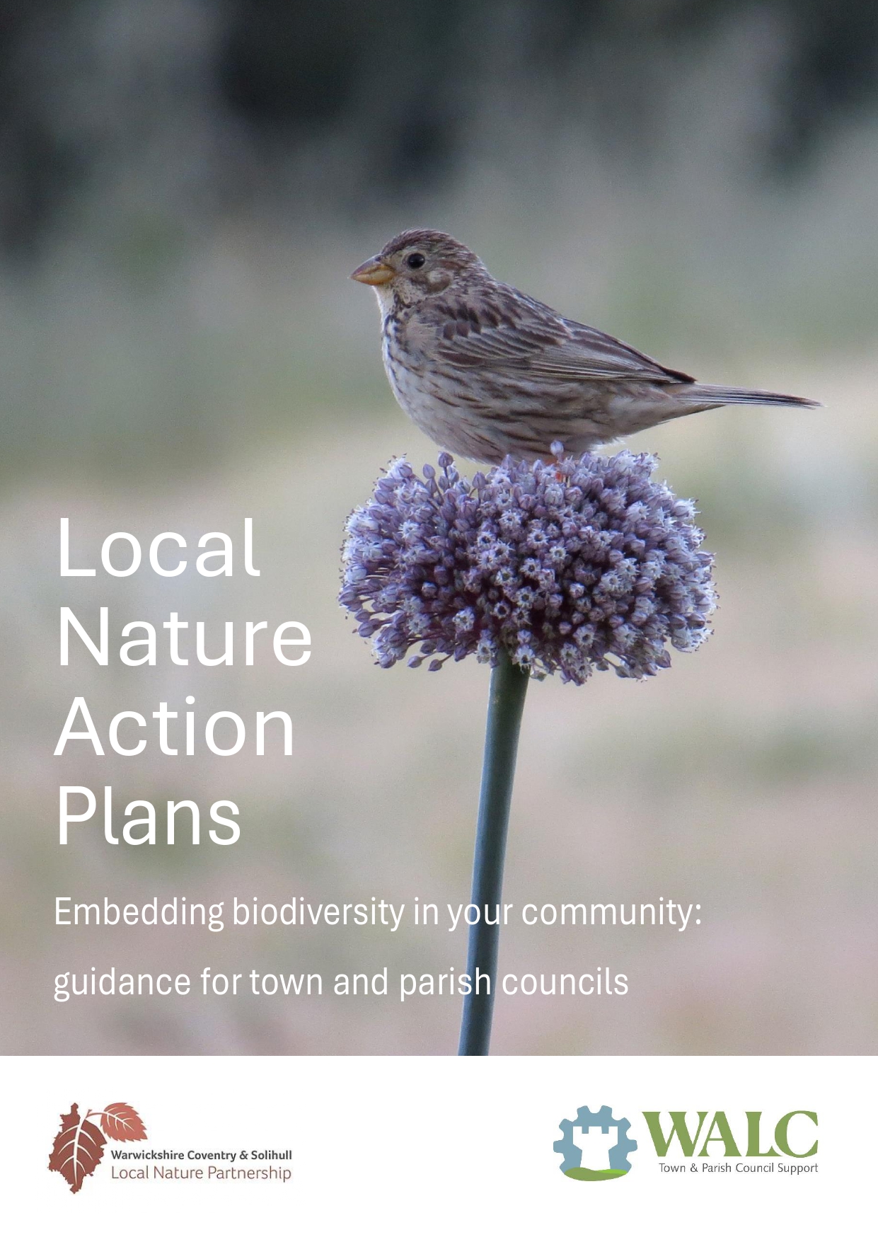 Local Nature Action Plan Webinar: Resources - WALC - Town and Parish ...